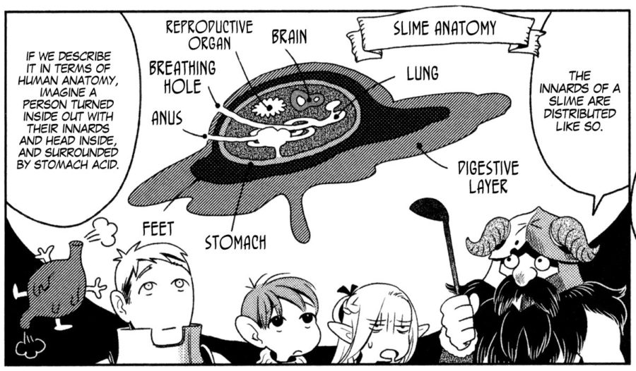 Dungeon Meshi e l'arte di mangiare i mostri | Baionette Librarie